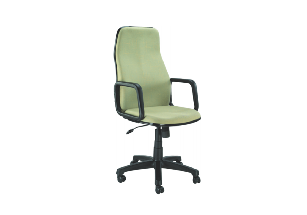 Task Egronomic Chairs- Buy best quality Egronomic Chairs in Noida ...